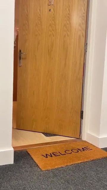 Braun's Meta Ad from Jan 2024 | AdScan.ai